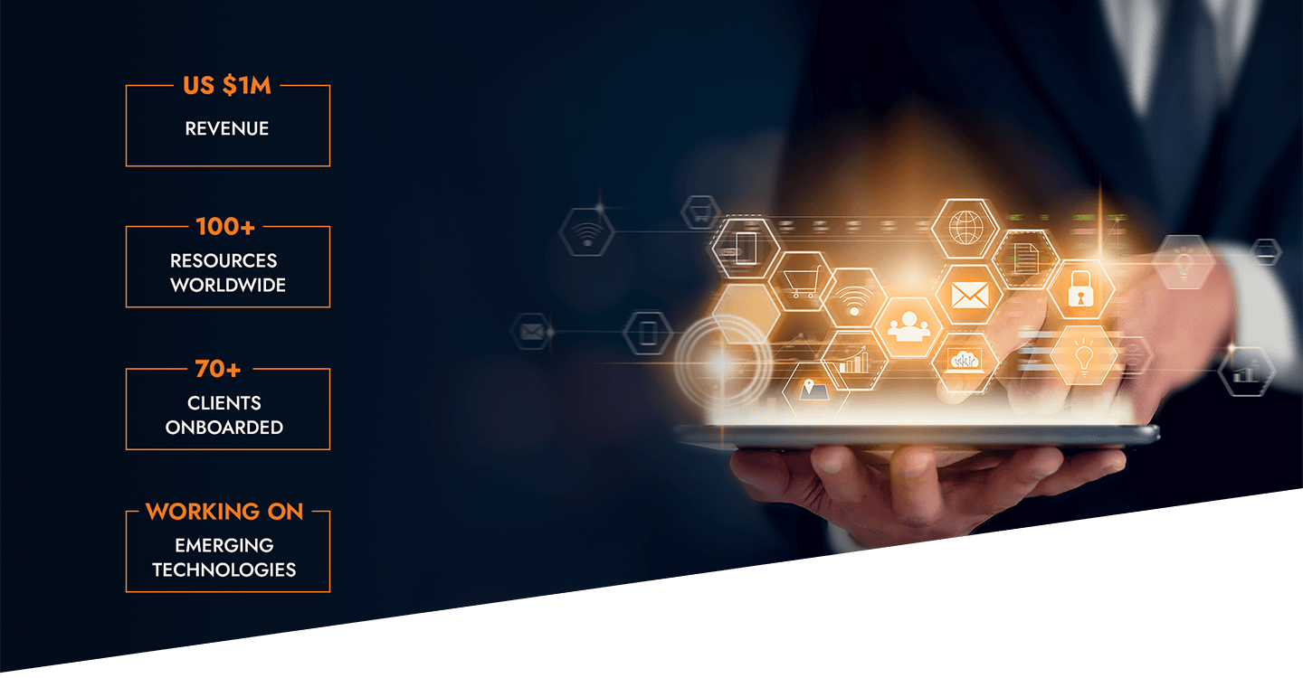 EaseHawk - Software Development, IT Consulting and Digital Services